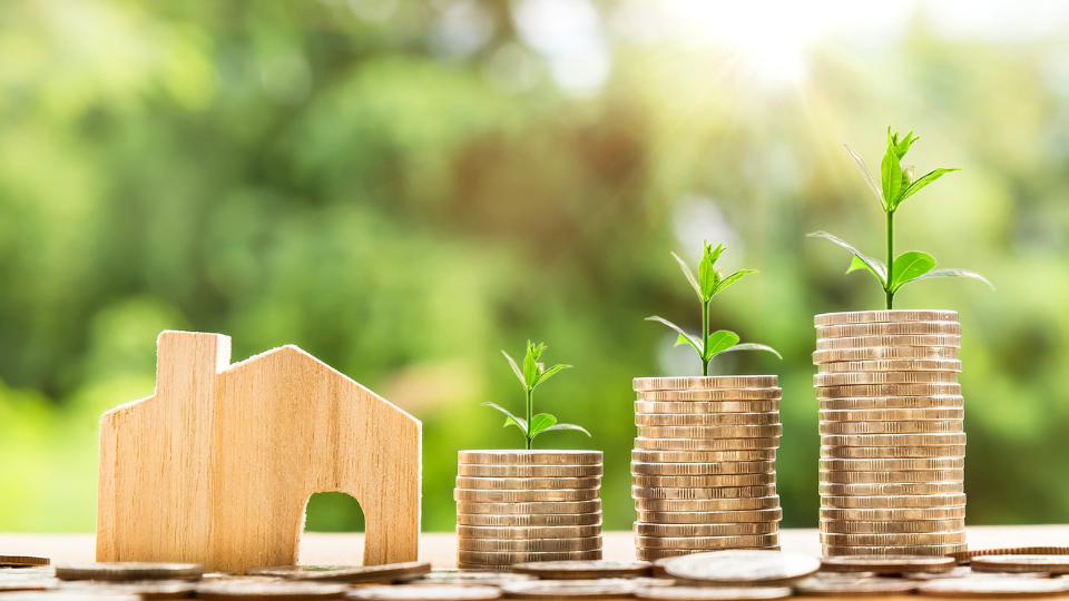 Investimentos isentos: como declarar LCI e LCA corretamente no Imposto ...